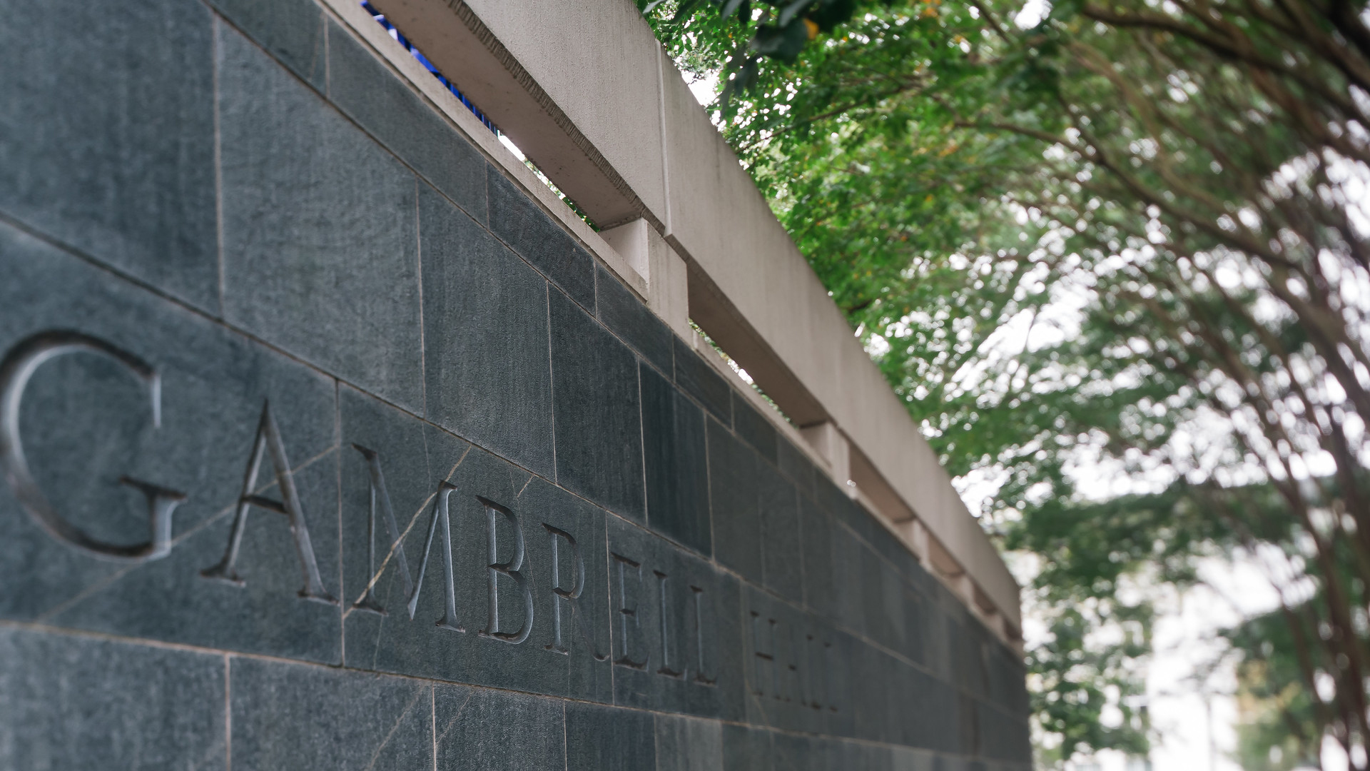 Virtual Backgrounds | Emory University School of Law | Atlanta, GA