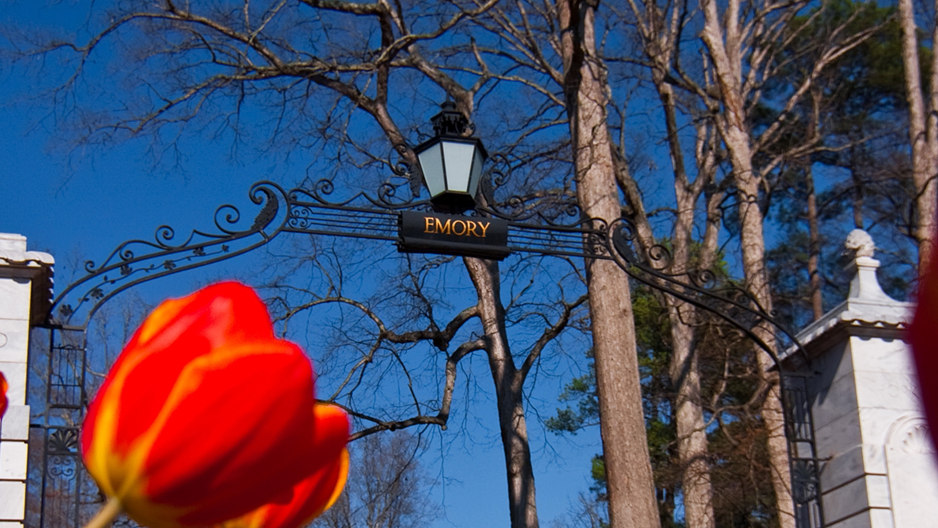 About Atlanta | Emory University School of Law | Atlanta, GA