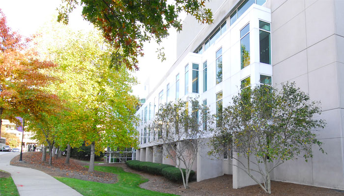 Areas of Impact | Emory University School of Law | Atlanta, GA